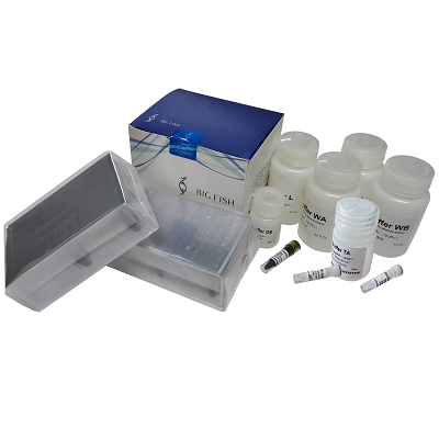 MagPure Animal Tissue Genomic DNA Purification Kit