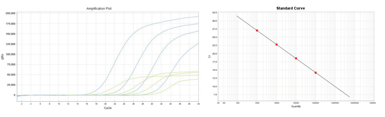 MagPure Virus DNA/RNA Purification kit