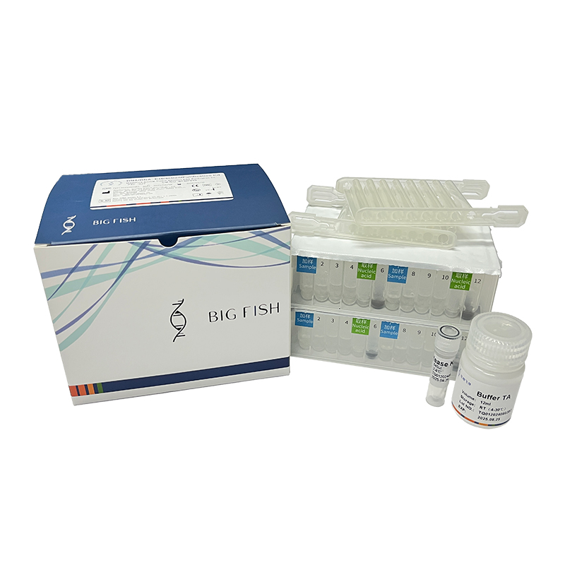 MagaPure Animal Tissue Genomic DNA Purification Kit